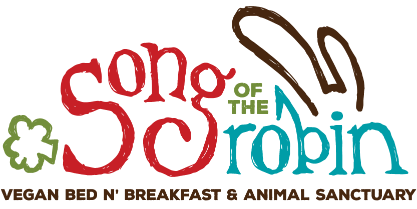 Song Of The Robin – Haven for animals